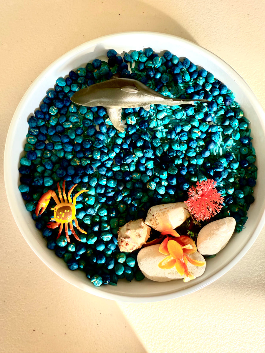 Pour & Play Sensory Bases – Little Busy
